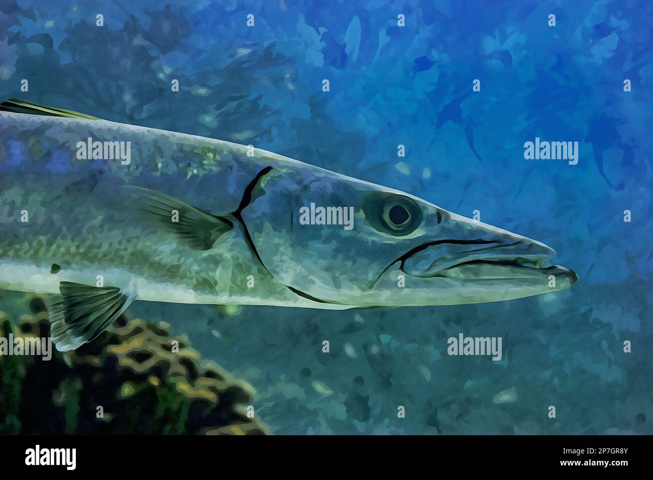 Barracuda Painting