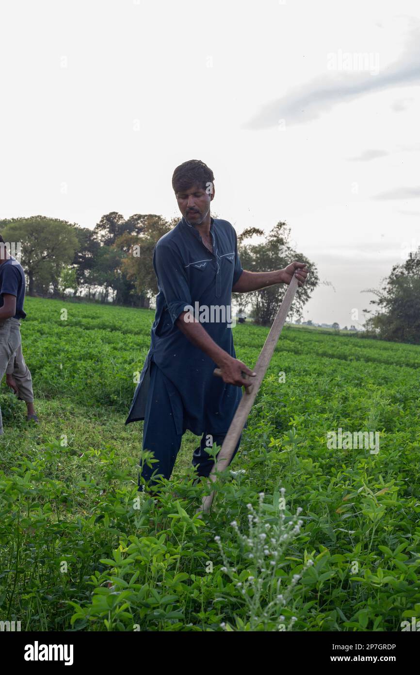 Portrait of a young boys in Village Stock Photo - Alamy