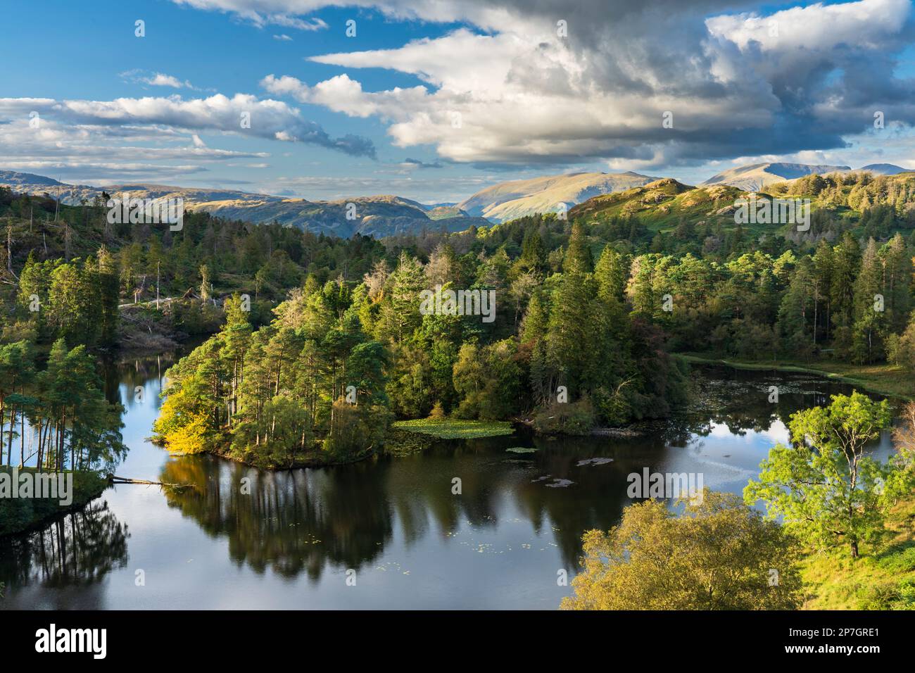 England, Cumbria, Lake District National Park. Tarn Hows a popular ...