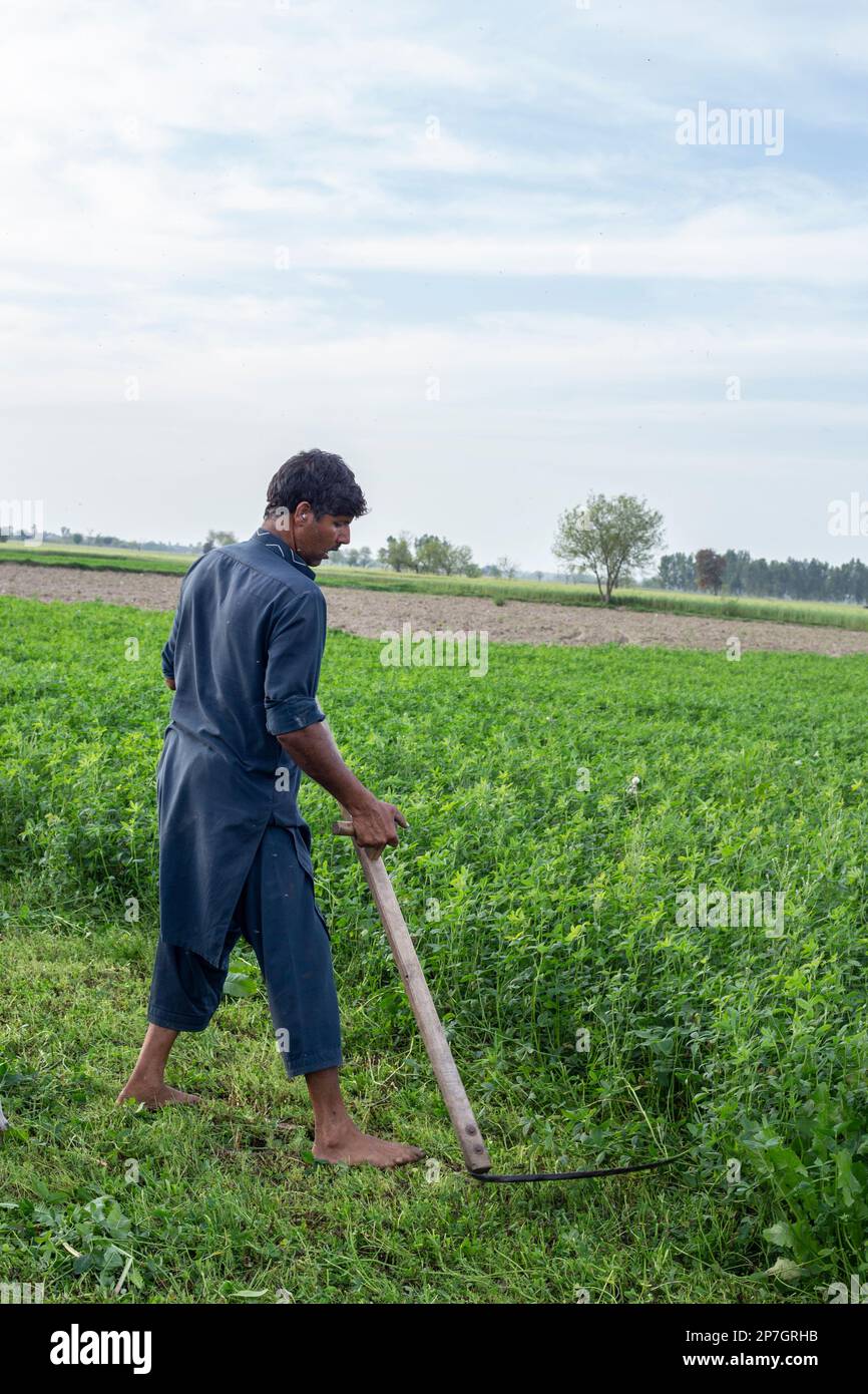 Portrait of a young boys in Village Stock Photo - Alamy