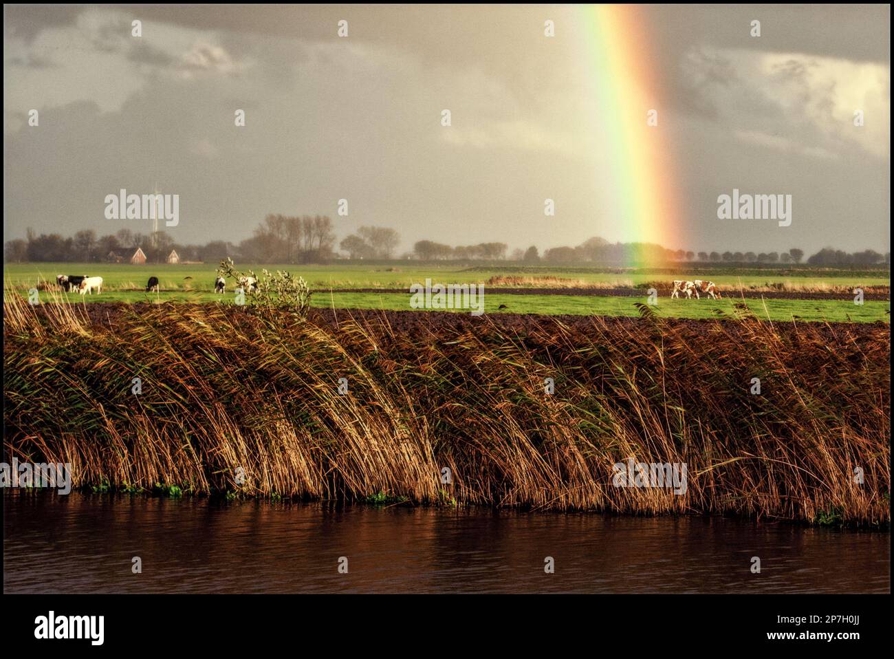 Rainbow pasture hi-res stock photography and images - Alamy
