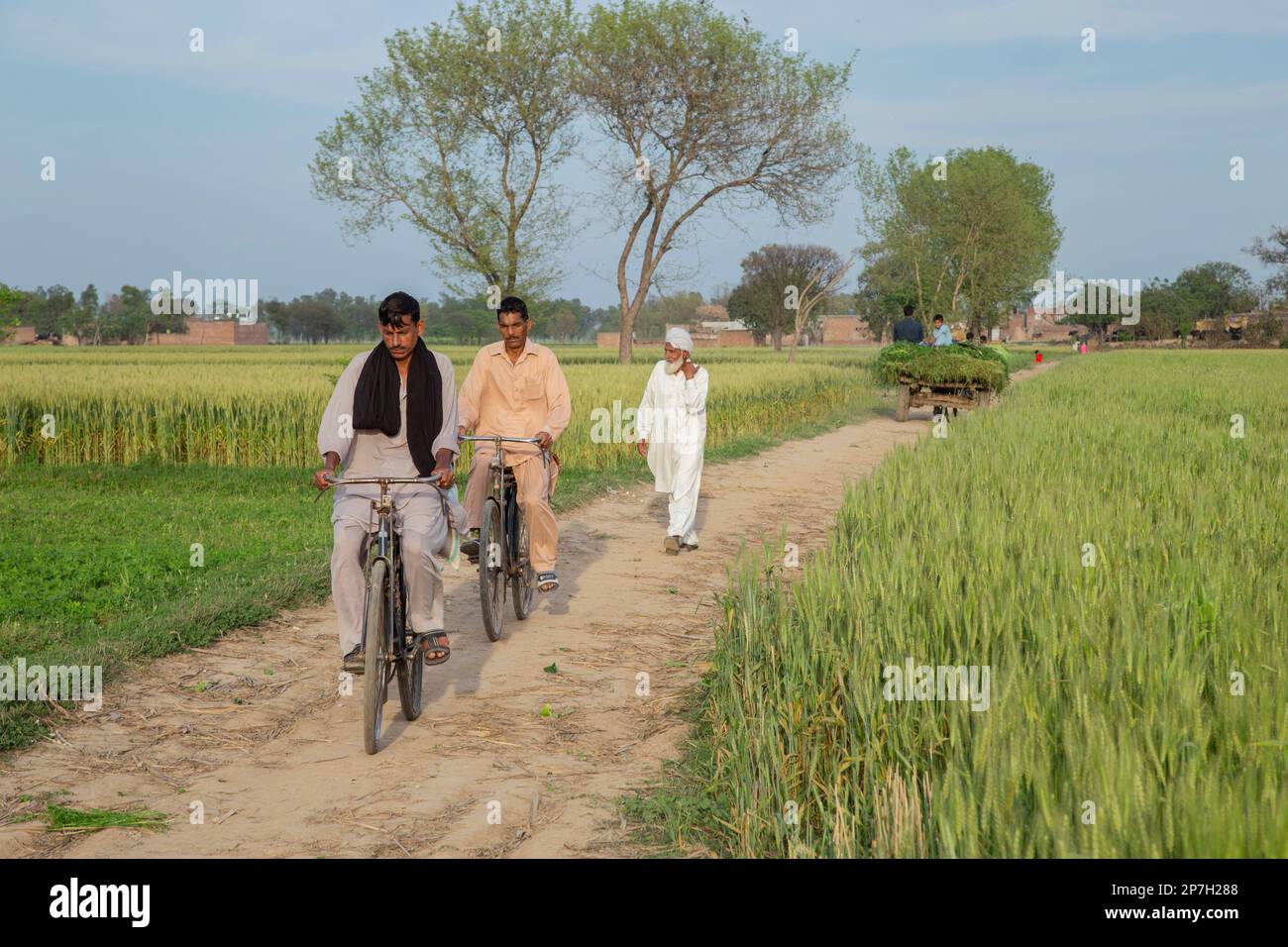Portrait of a young boys in Village Stock Photo - Alamy