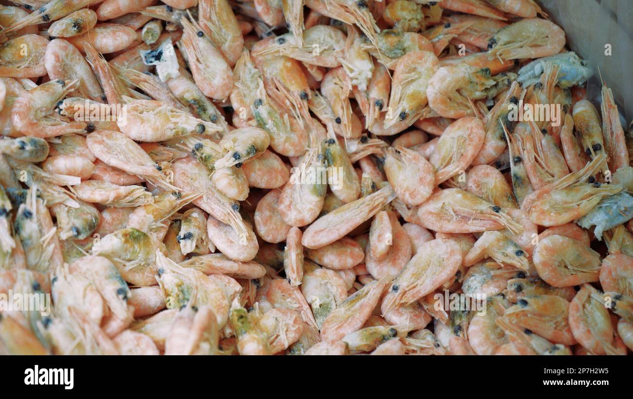 Pink fresh frozen shrimps with ice in a supermarket or fish shop ...