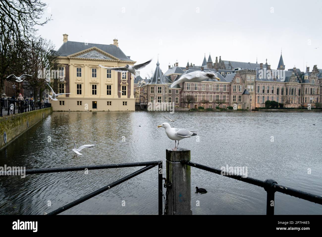 THE HAGUE - Work on the Binnenhof. The large-scale renovation will take ...