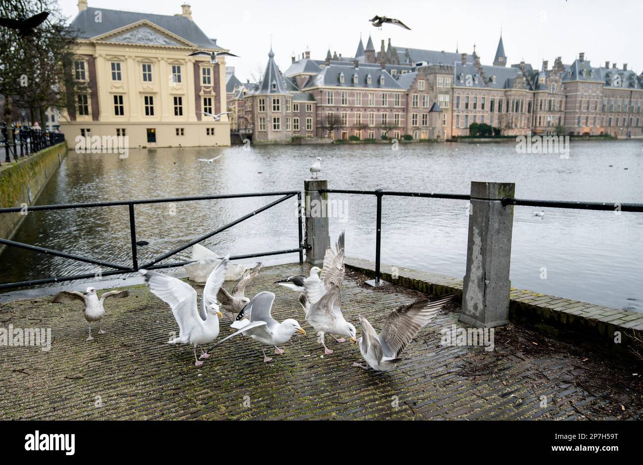 THE HAGUE - Work on the Binnenhof. The large-scale renovation will take ...