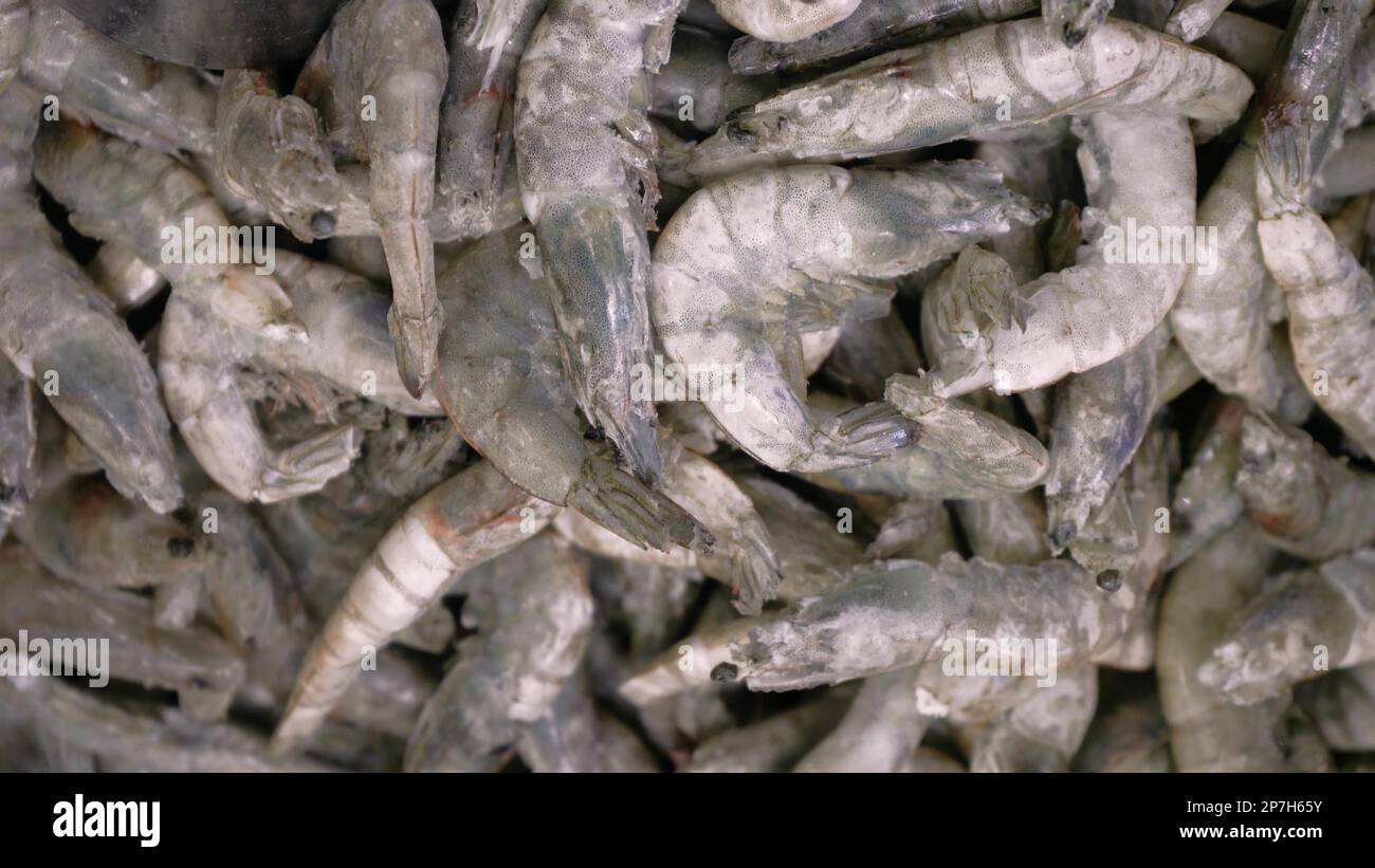 Pink fresh frozen shrimps with ice in a supermarket or fish shop ...