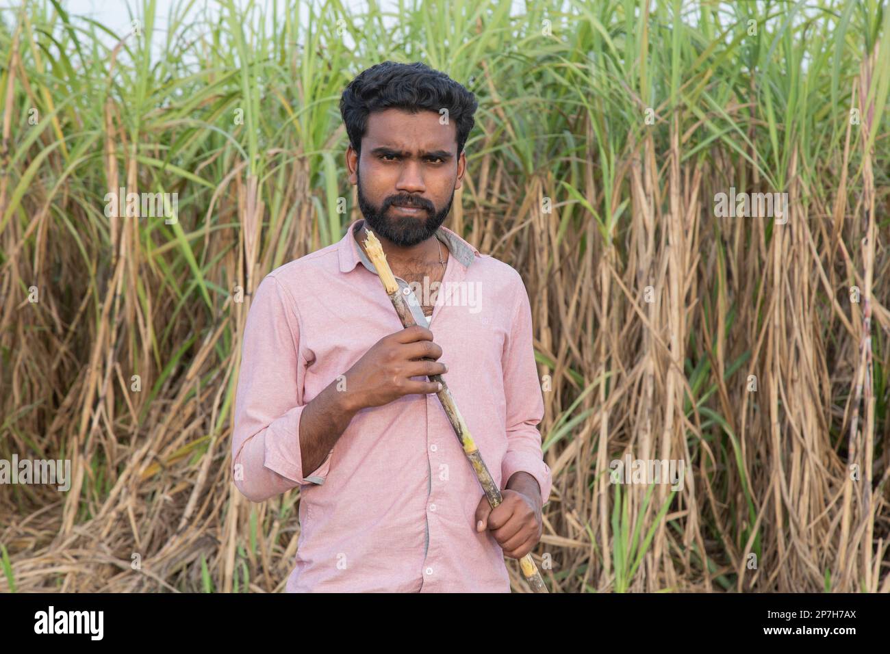Portrait of a young boys in Village Stock Photo - Alamy