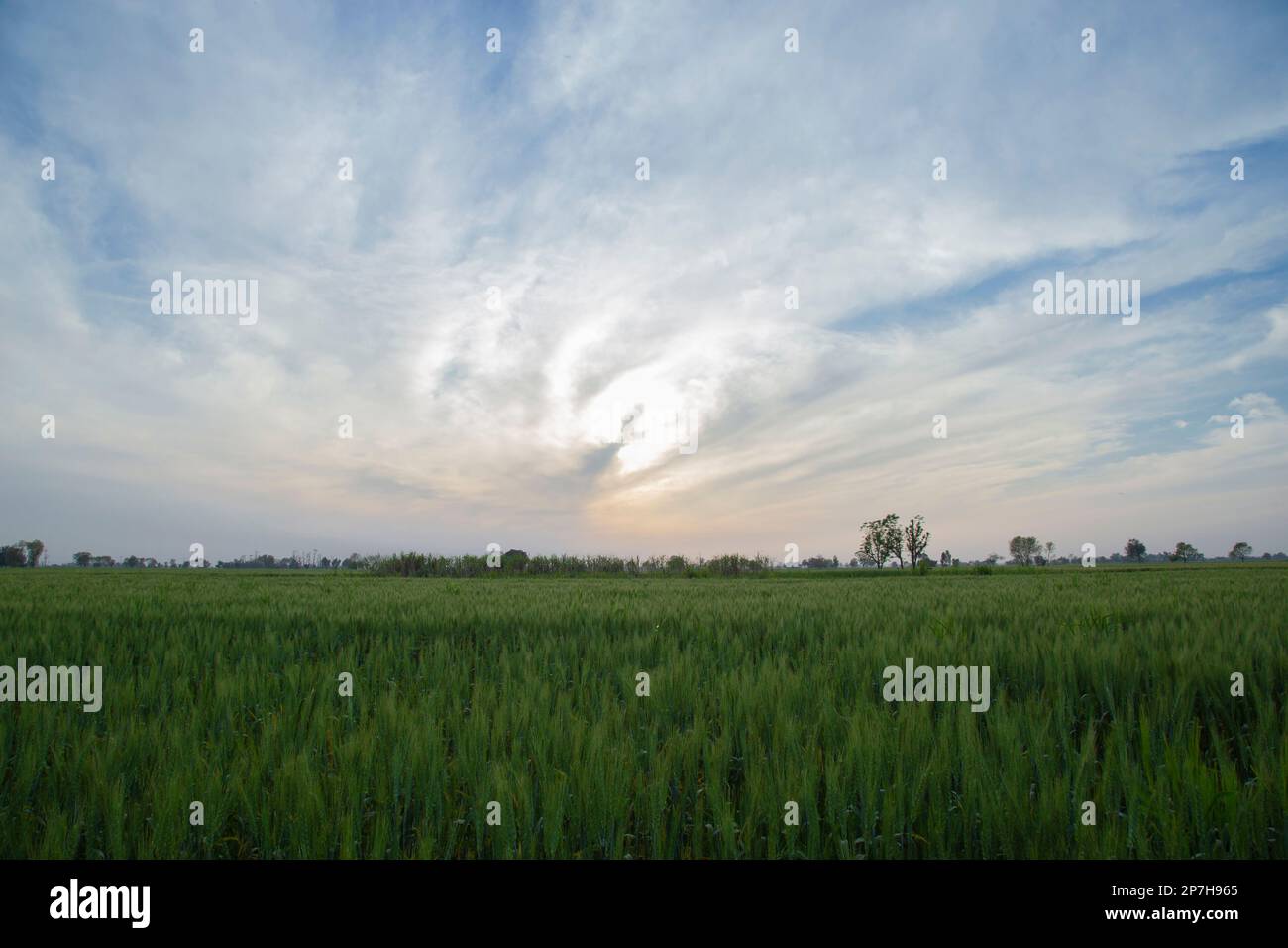 Countryside landscape. Pakistan. Beautiful typical countryside summer ...
