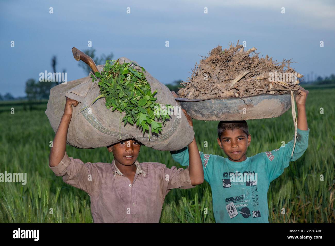 Portrait of a young boys in Village Stock Photo - Alamy