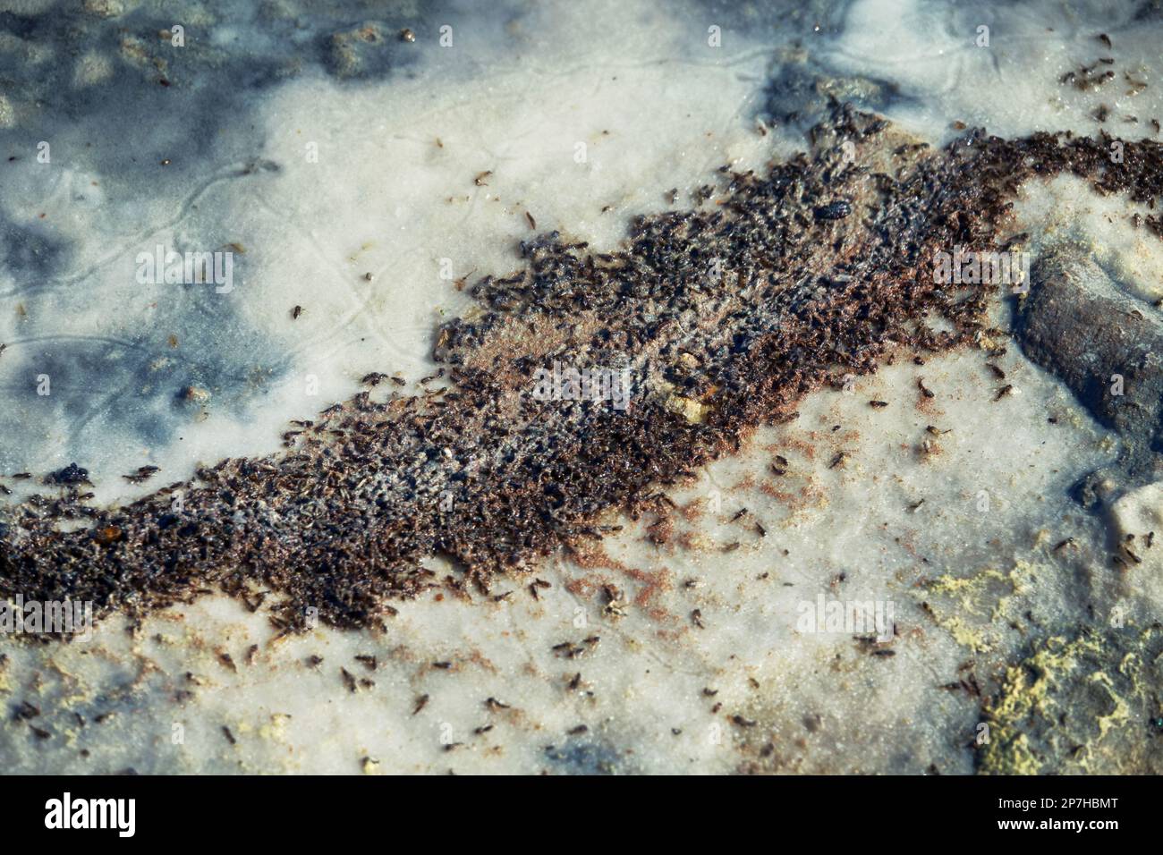 Sulfuretted hydrogen water hi-res stock photography and images - Alamy