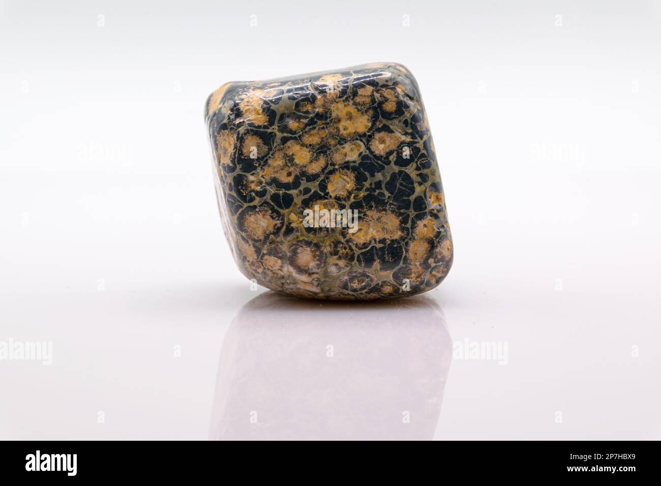 Polished leopard jasper mineral on white background, mineral collection ...