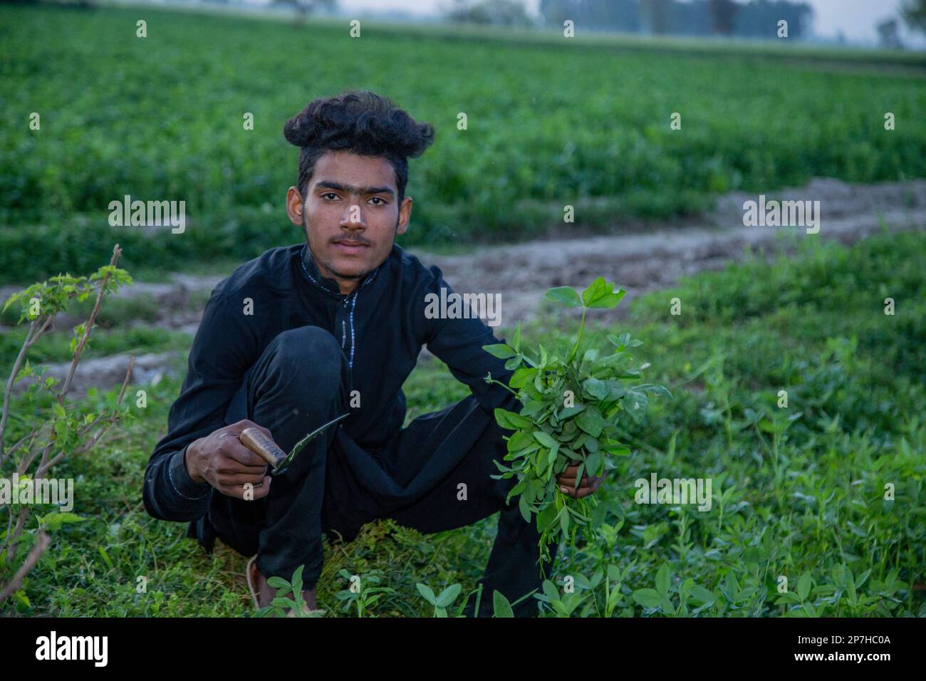 Portrait of a young boys in Village Stock Photo - Alamy
