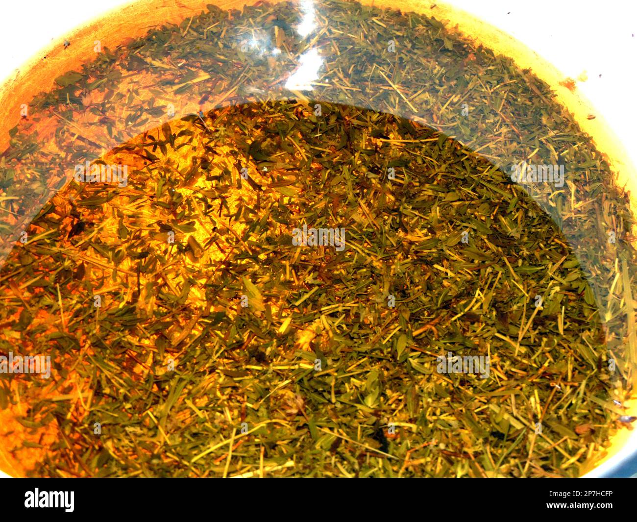 Thyme tea hi-res stock photography and images - Alamy