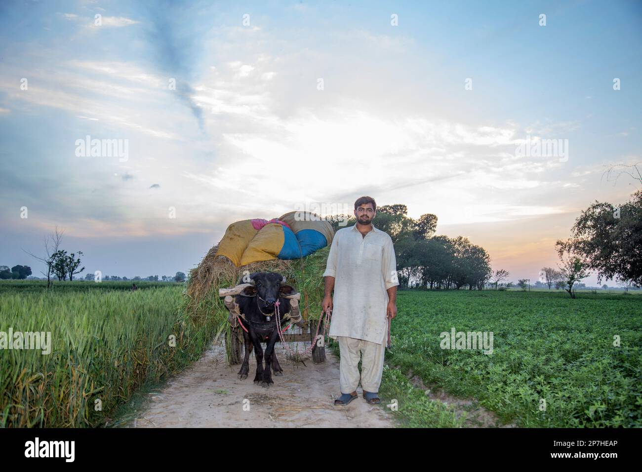 Portrait of a young boys in Village Stock Photo - Alamy