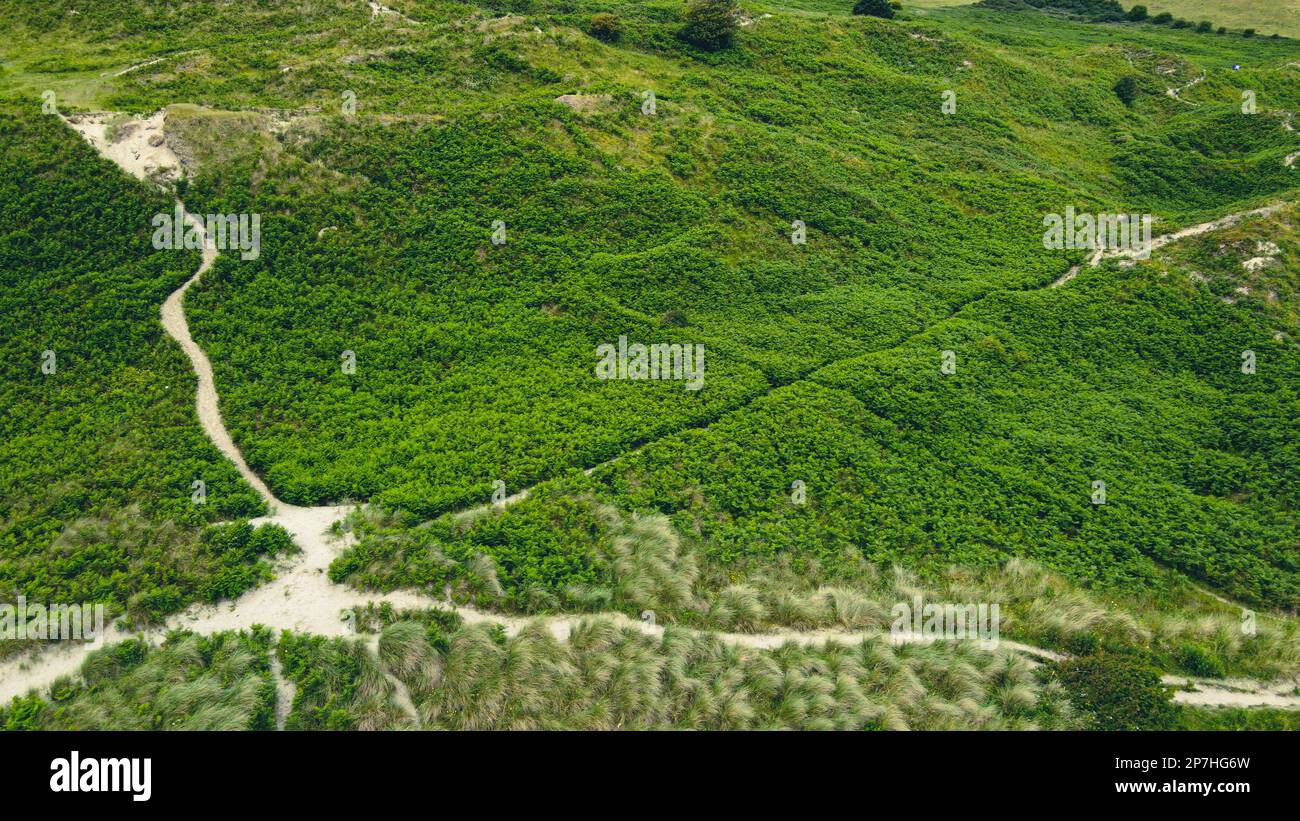 Hilly terrain. Sandy hills covered with green plants. Landscape, top ...