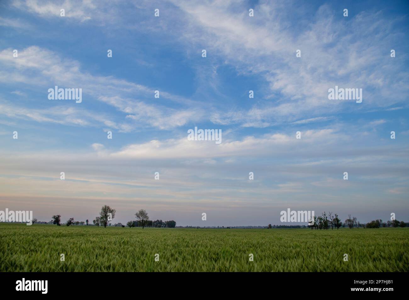 Countryside landscape. Pakistan. Beautiful typical countryside summer ...