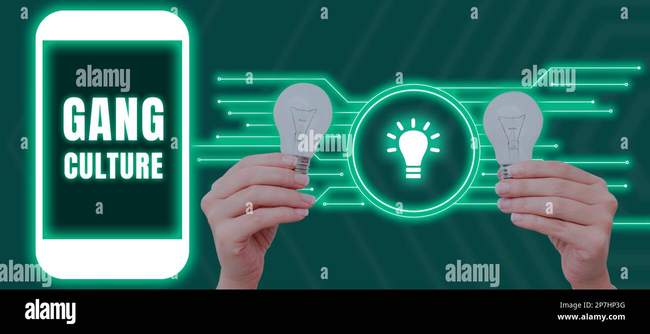 Text caption presenting Gang Culture, Business overview particular ...