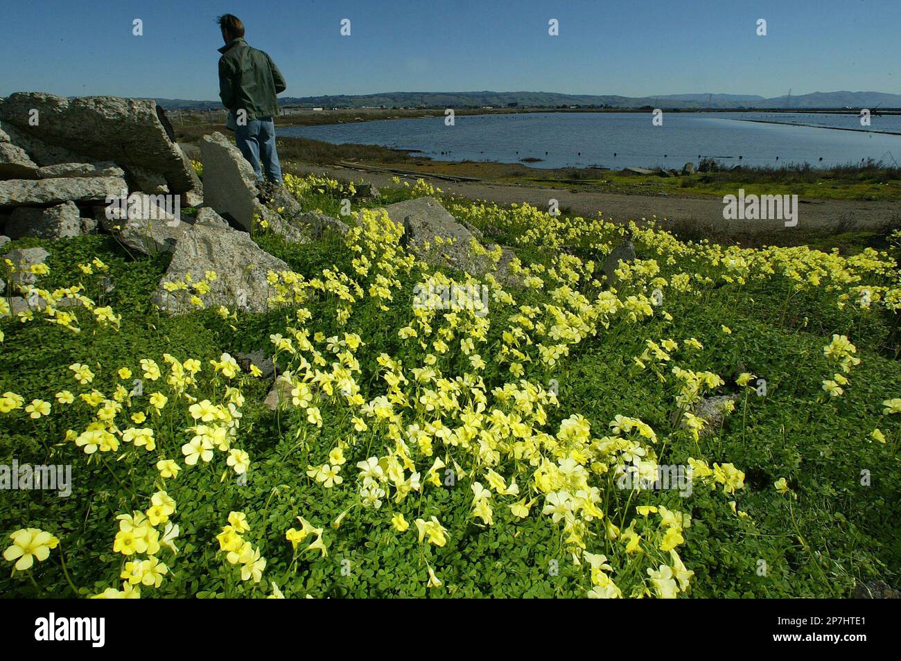 parks mac.024.JPG East Bay Regional Parks Biologist Joe DiDonato ...