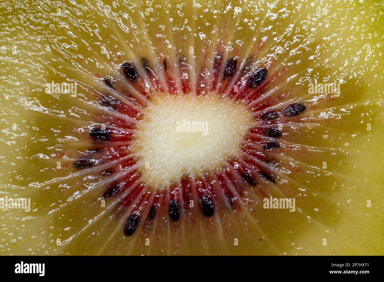 Kiwi fruit - close up Stock Photo - Alamy
