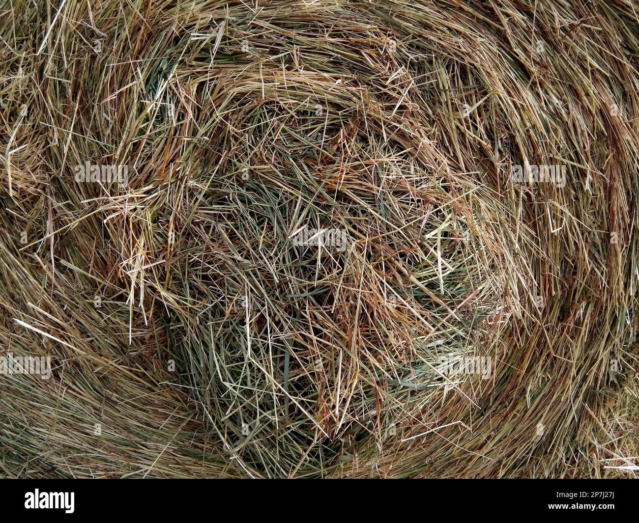 bale of hay in Maramures county Stock Photo - Alamy