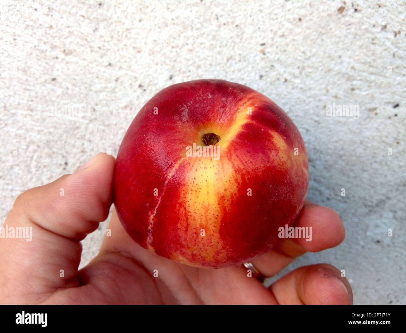 peach in a hand - fruit Stock Photo - Alamy