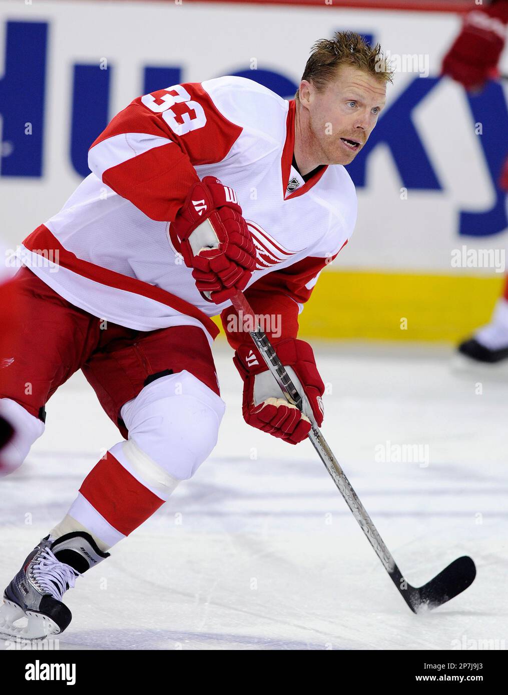 NHL player profile photo on Detroit Red Wings' Kris Draper during a ...