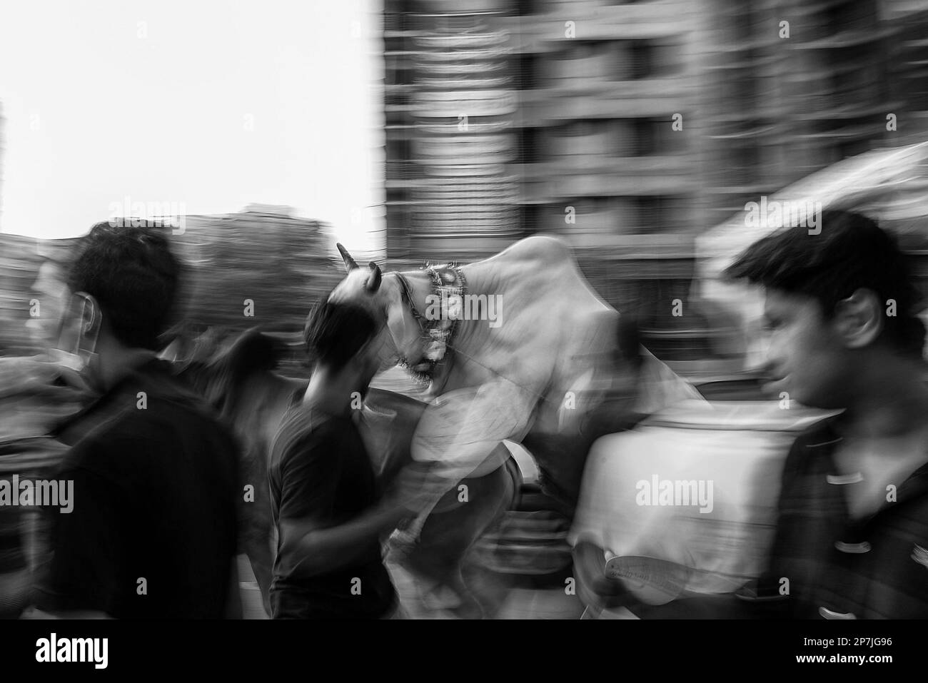 Ephemeral flow Black and White Stock Photos & Images - Alamy