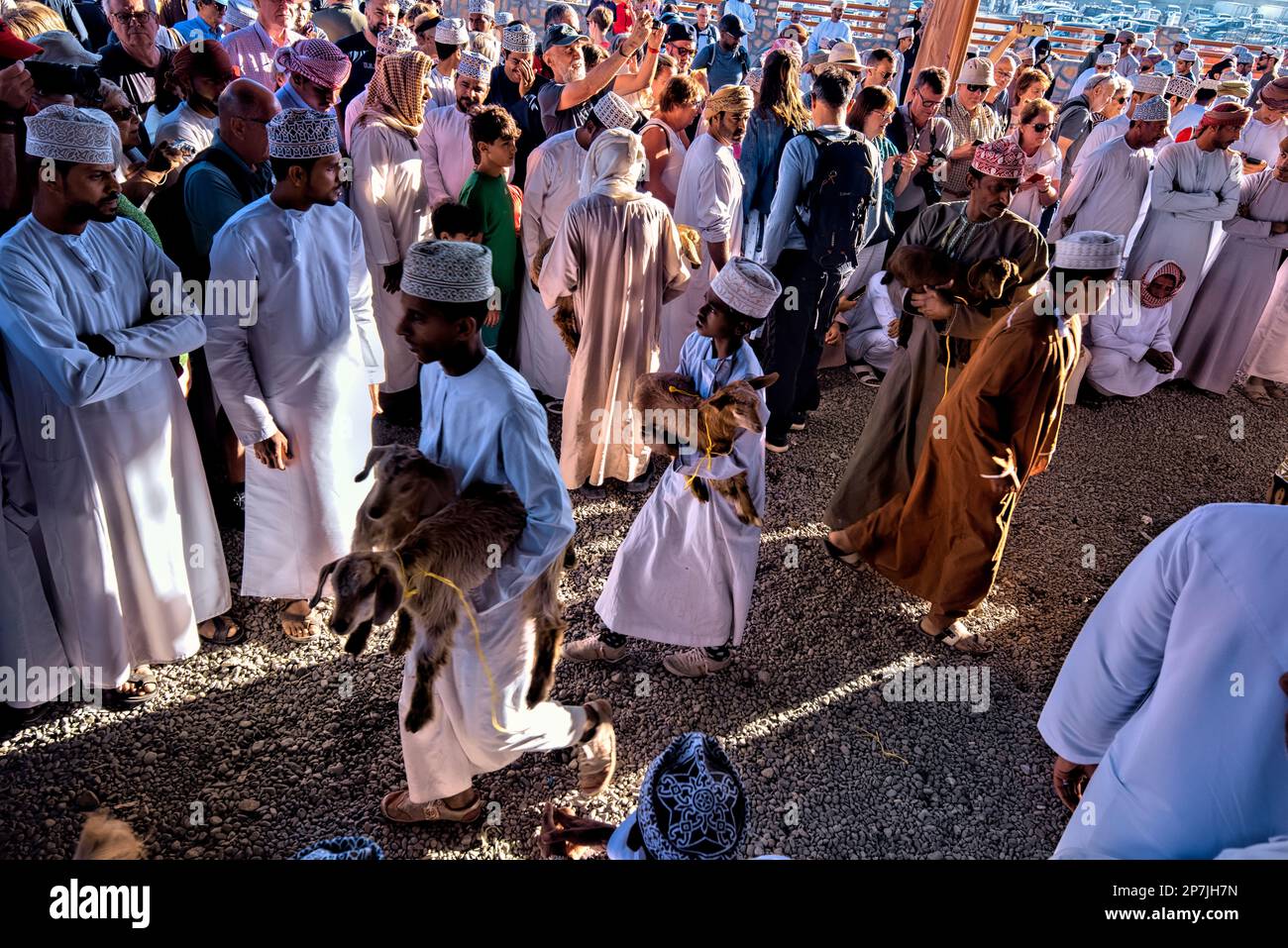 Scenes from the chaotic goat market, Nizwa, Oman Stock Photo - Alamy