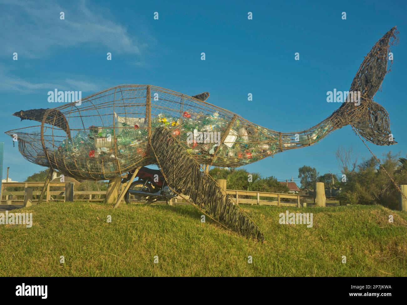 Whale made of wires to encourage plastic recycling on beach near ...