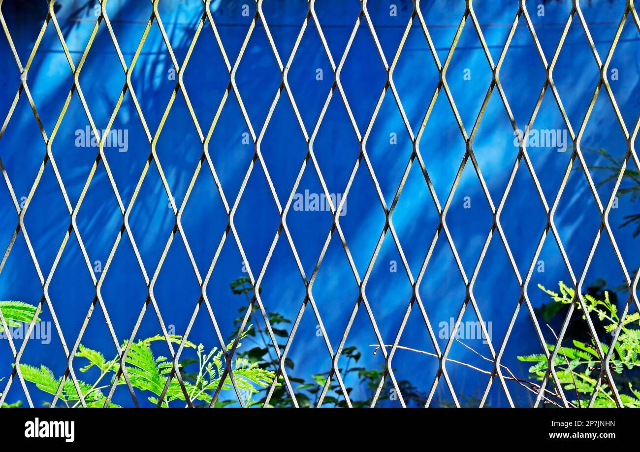 Green mesh, rhombus grid on blue background Stock Photo - Alamy