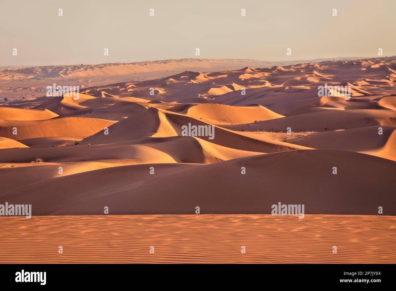Desert solitude in the Wahiba Sands, Al Wasil, Oman Stock Photo - Alamy