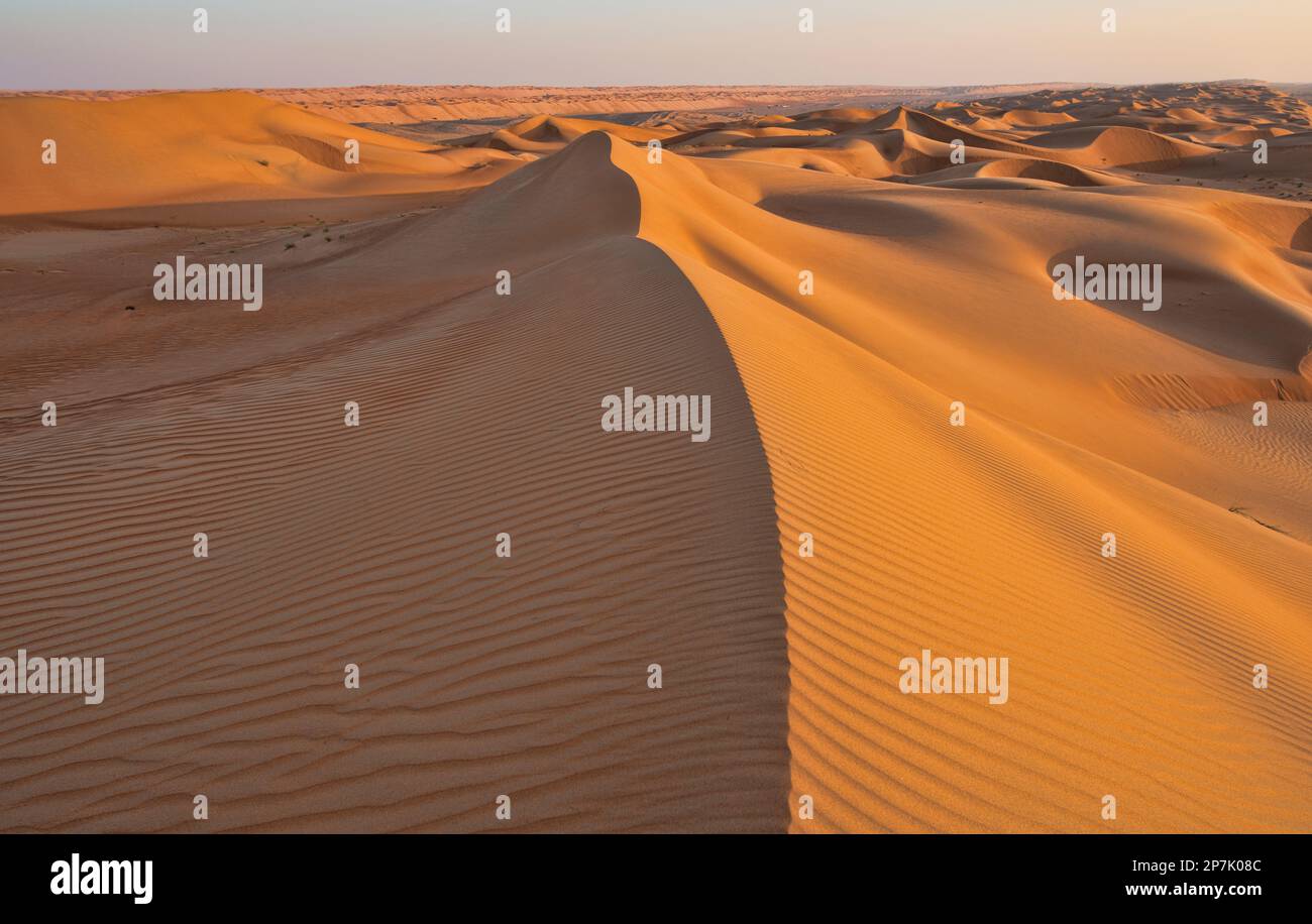 Desert solitude in the Wahiba Sands, Al Wasil, Oman Stock Photo - Alamy