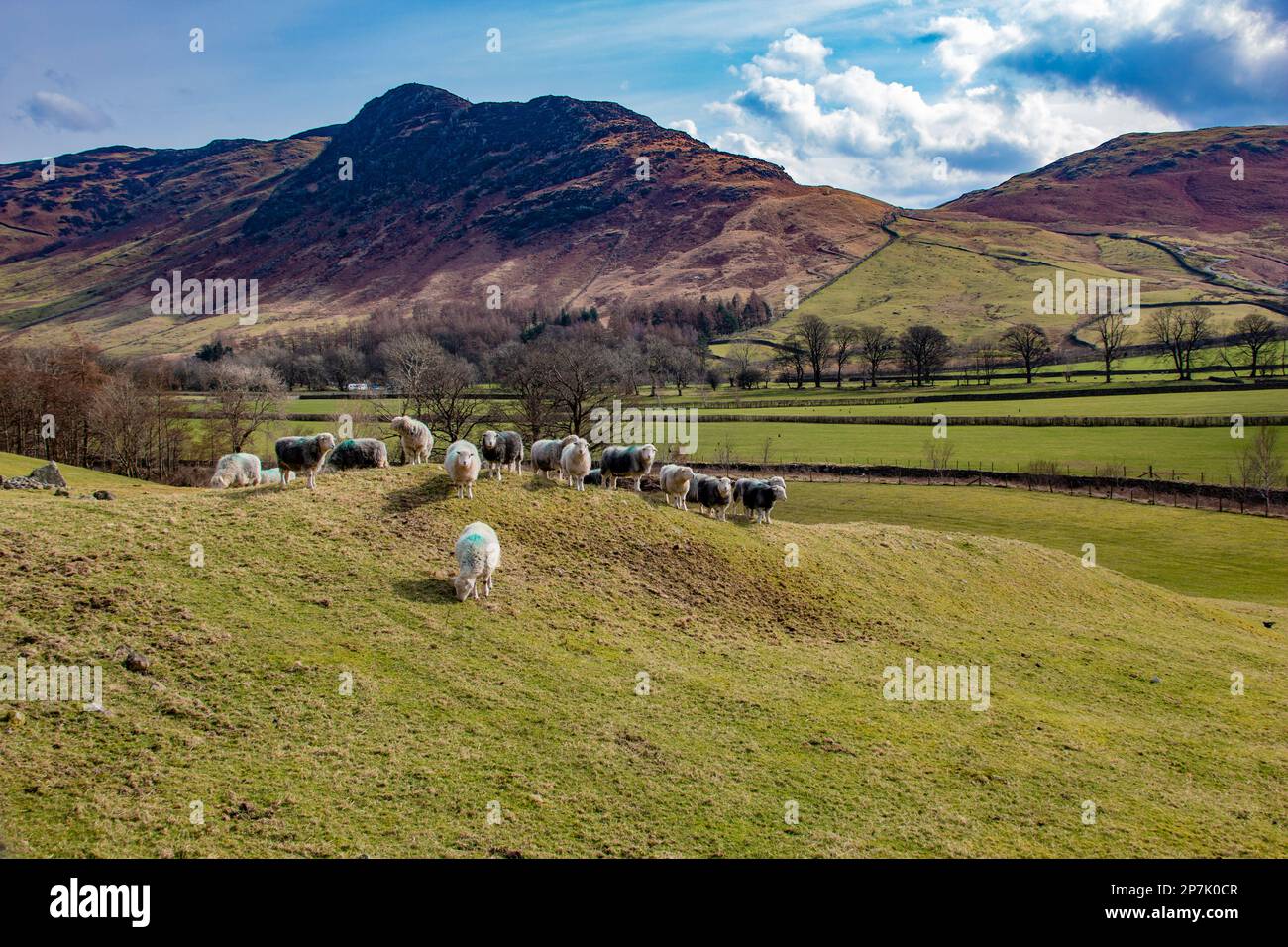 Beautiful Mickleden Valley, with views of Bowfell, Pike O'Stickle and ...