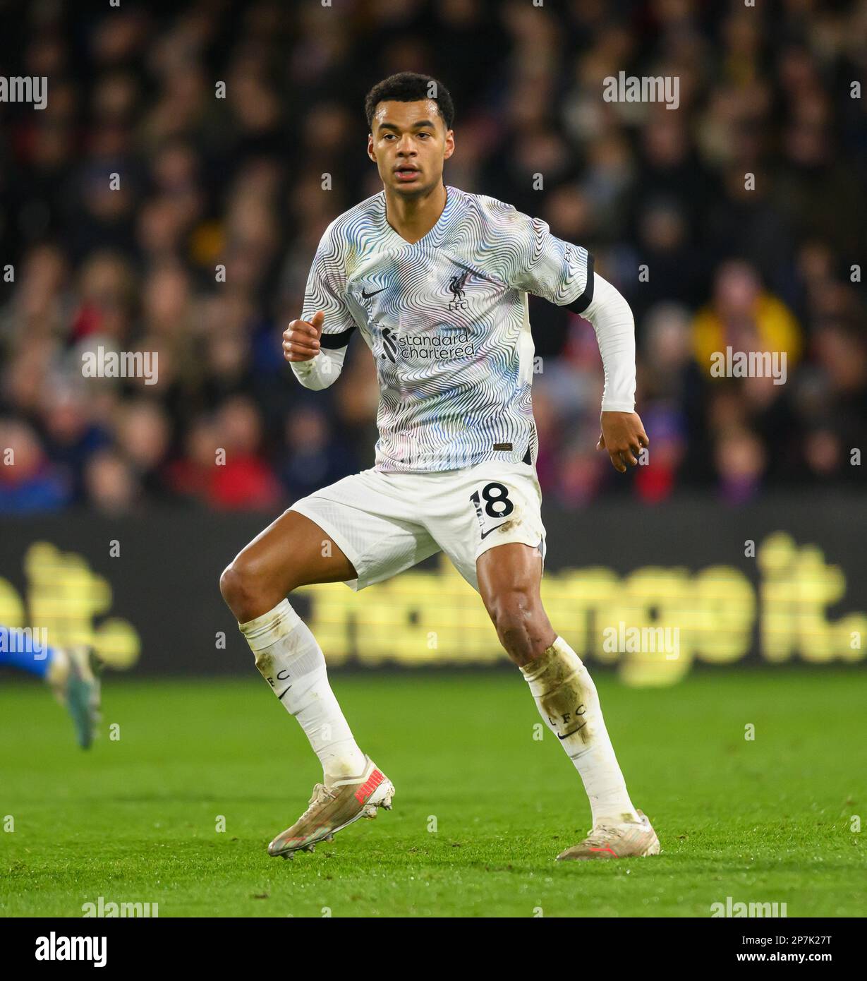 Cody gakpo liverpool 2023 hi-res stock photography and images - Alamy