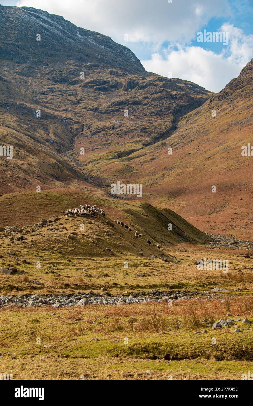 Beautiful Mickleden Valley, with views of Bowfell, Pike O'Stickle and ...