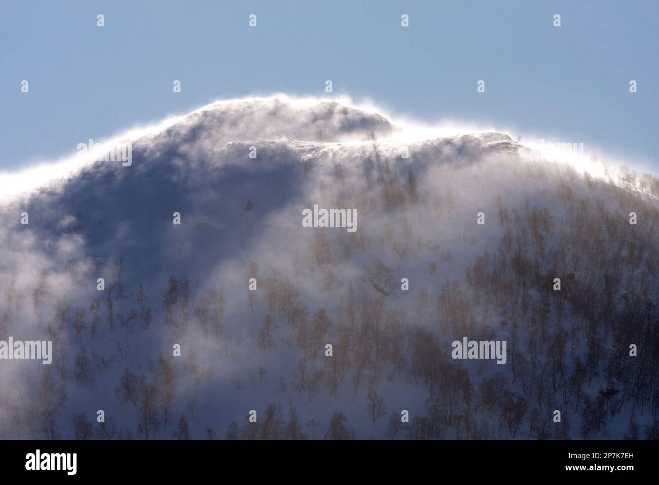 Blizzard above the timber line. Heavy wind, storm, take care. Sunny and ...