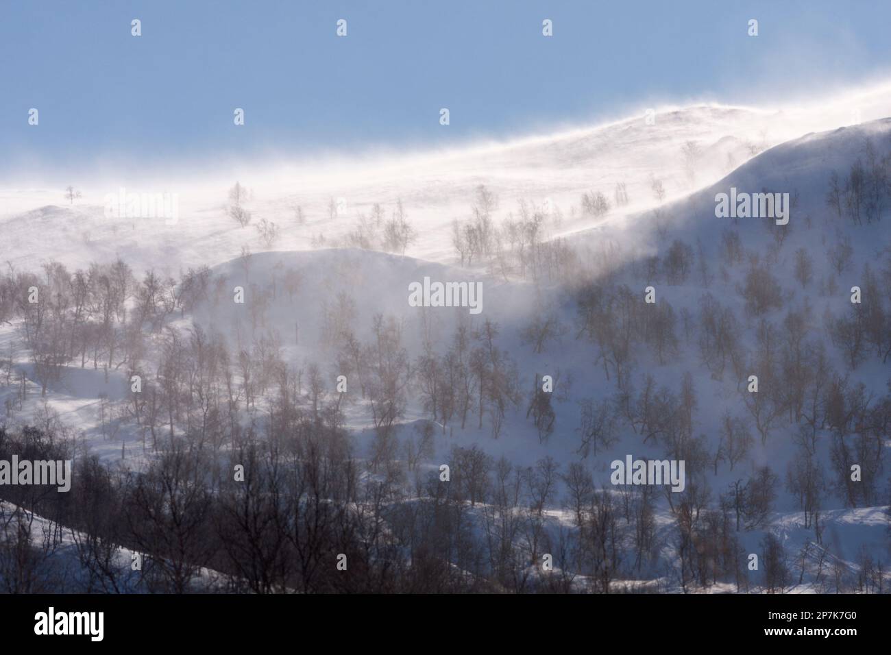Blizzard above the timber line. Heavy wind, storm, take care. Sunny and ...