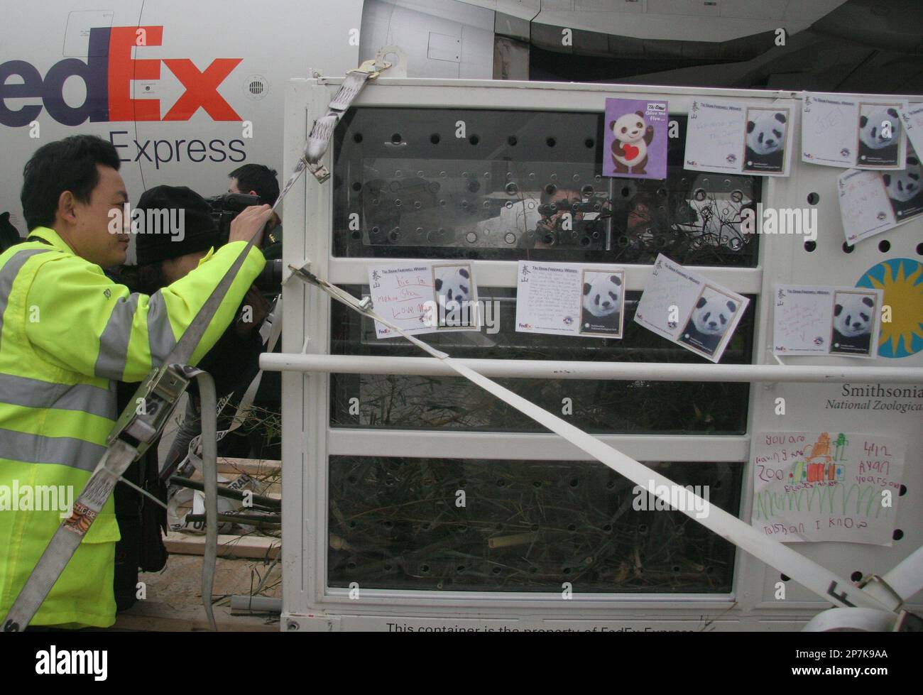 Worker unload a cage which carry panda Tai Shan in a FedEx plane, and ...