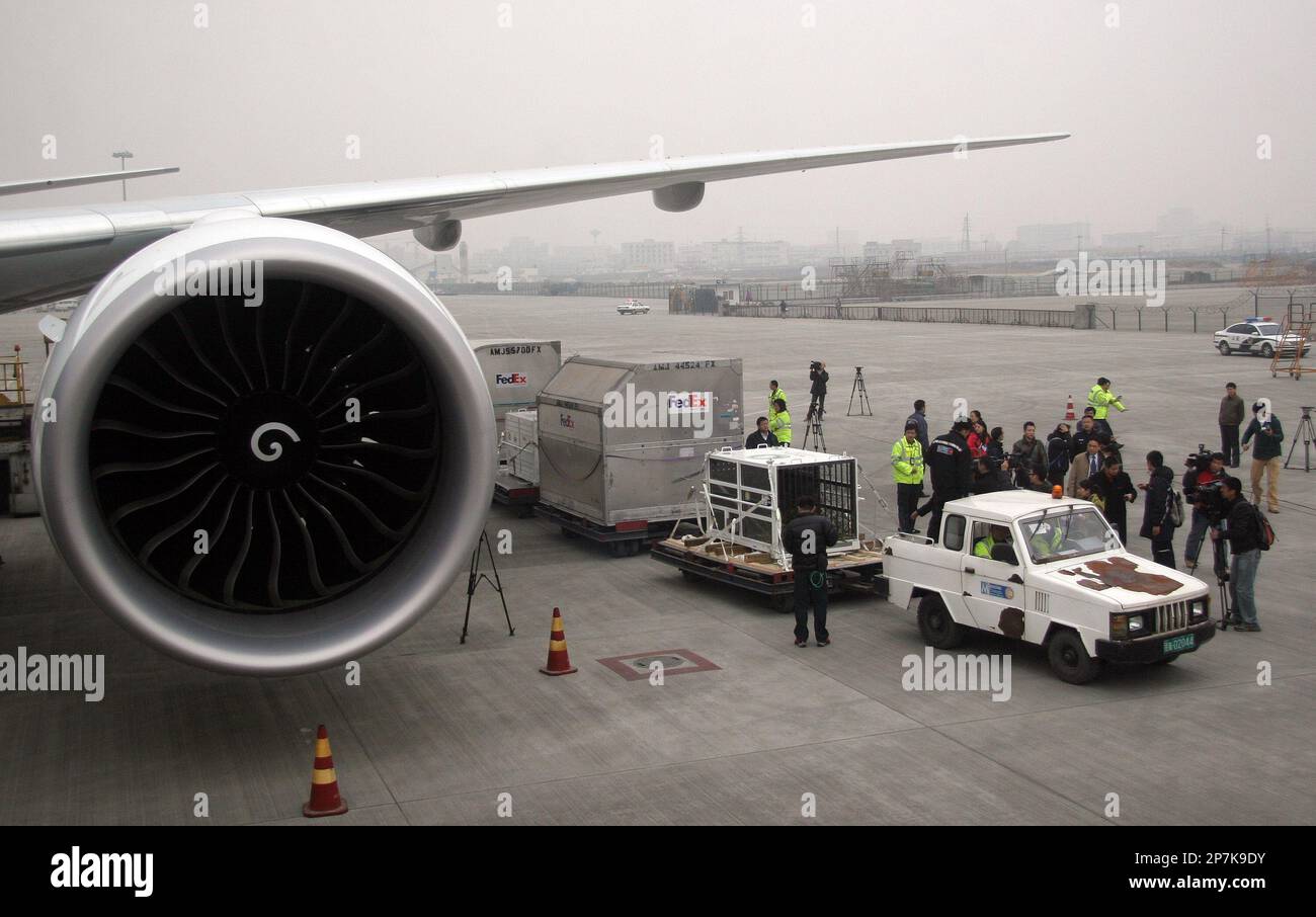 Worker unload a cage which carry panda Tai Shan in a FedEx plane, and ...