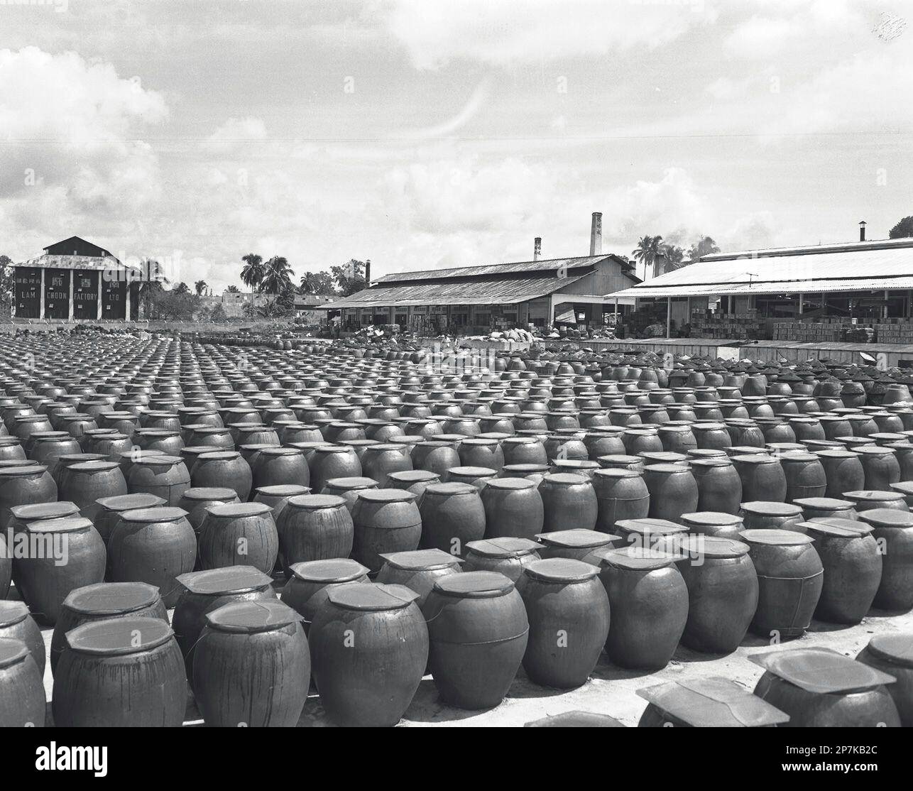 Large jars of soya sauce outside the soya sauce factory, 18 September ...