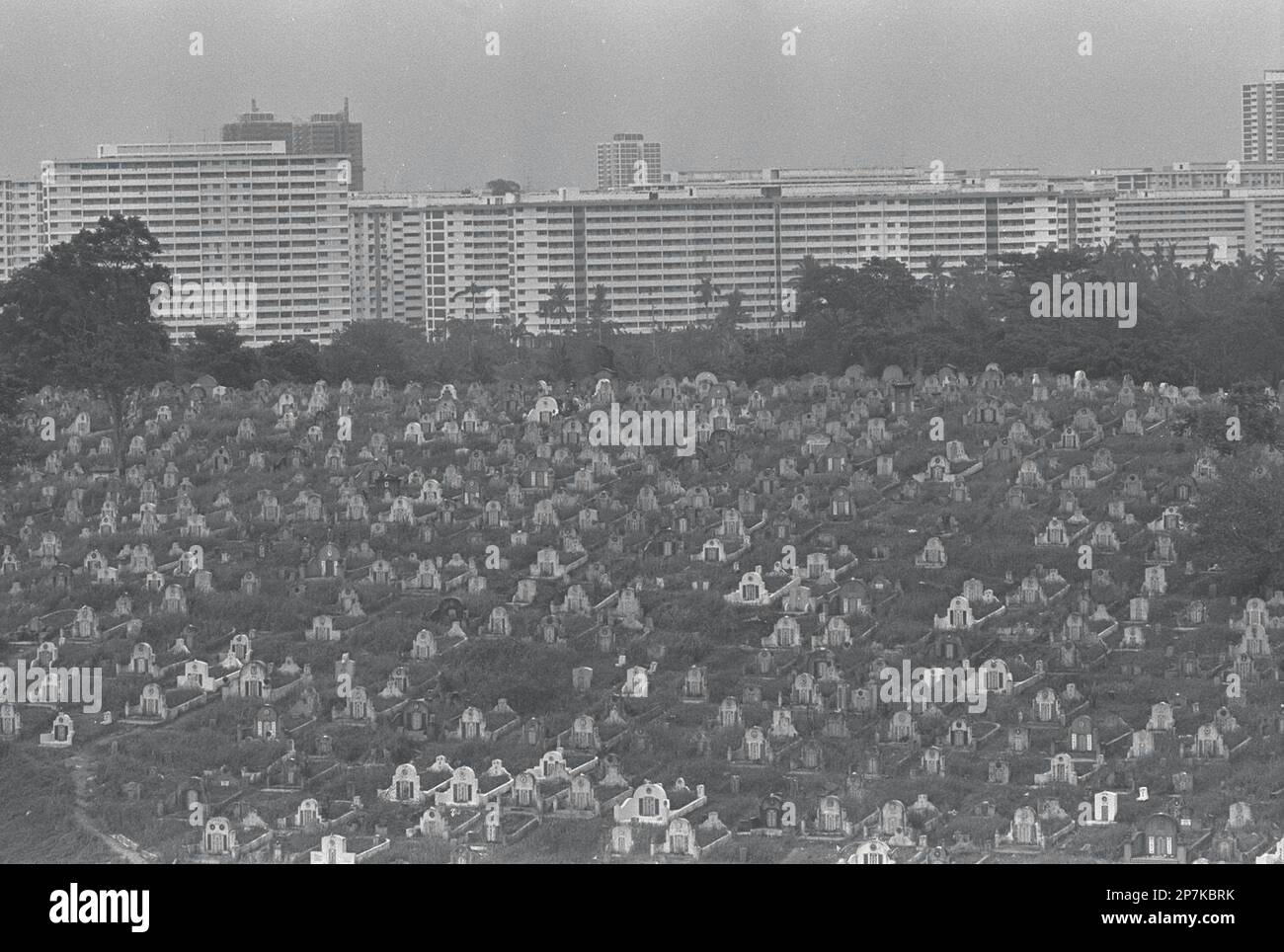 Singapore's biggest and one of the oldest Chinese burial grounds, the ...