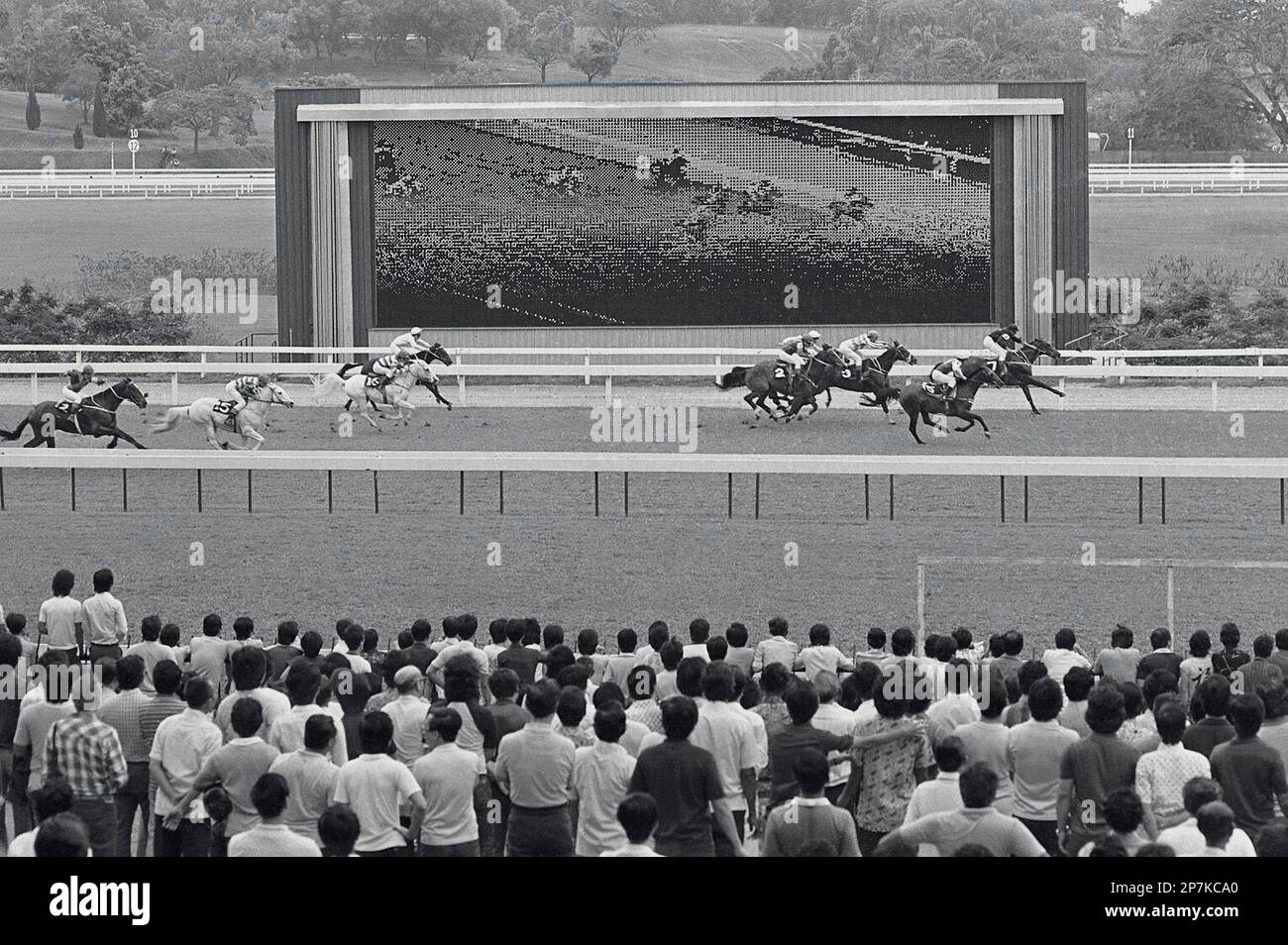 Big screen at Singapore Turf Club. The Singapore Turf Club made racing ...