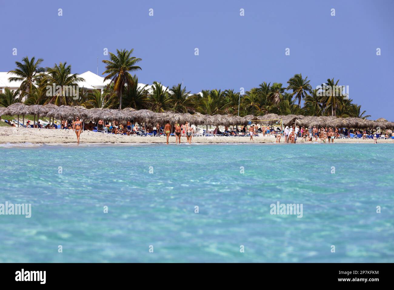 View from the water surface to tropical resort with coconut palm trees ...