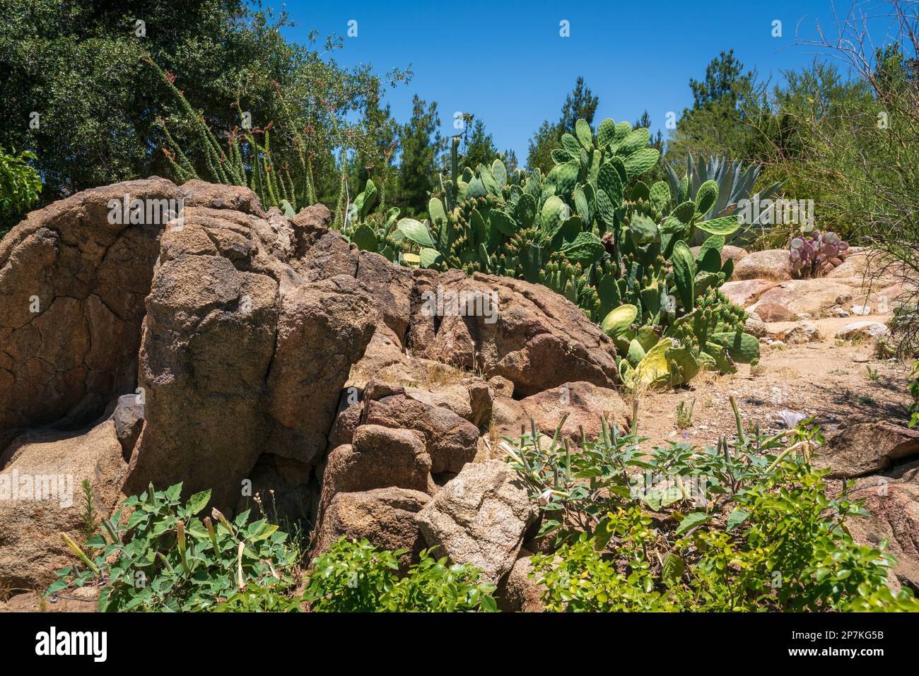 Cesar chavez farm house hi-res stock photography and images - Alamy