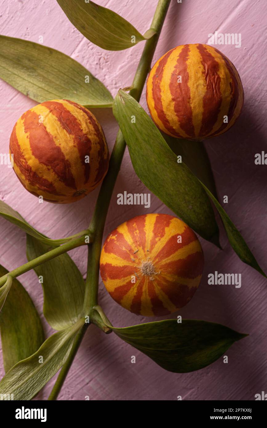 Tigger hi-res stock photography and images - Alamy