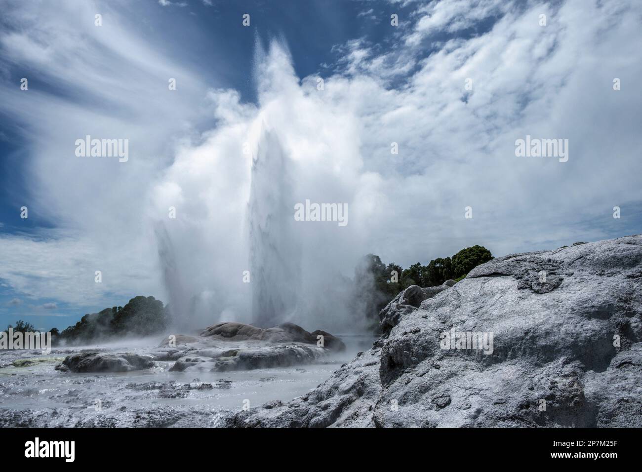 The Pohutu Geyser at Te Puia, Rotorua, North Island, New Zealand Stock ...