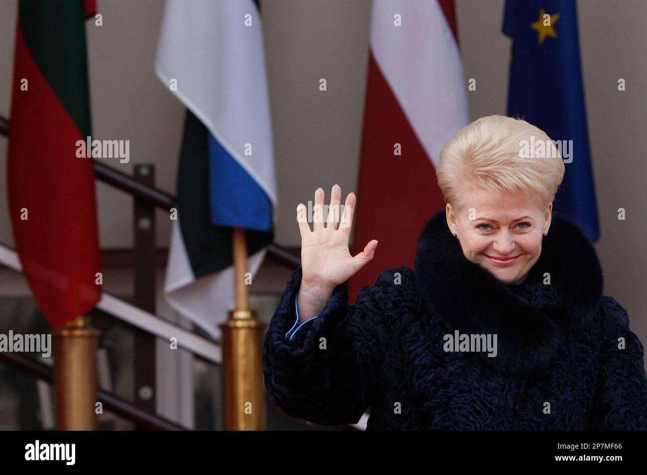 Lithuanian President Dalia Grybauskaite seen prior to meeting with ...