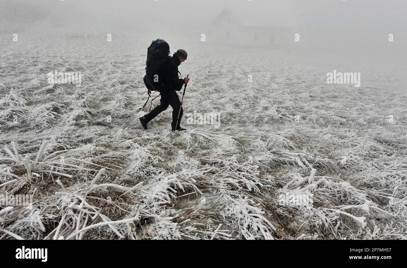 A pilgrim walks on the St. James's Way covering with frost as ...
