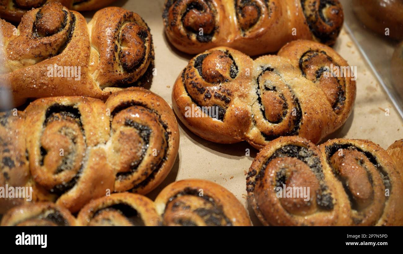 Rows of Warm Freshly Baked Bread Rolls on Display in Bakery Stand at ...