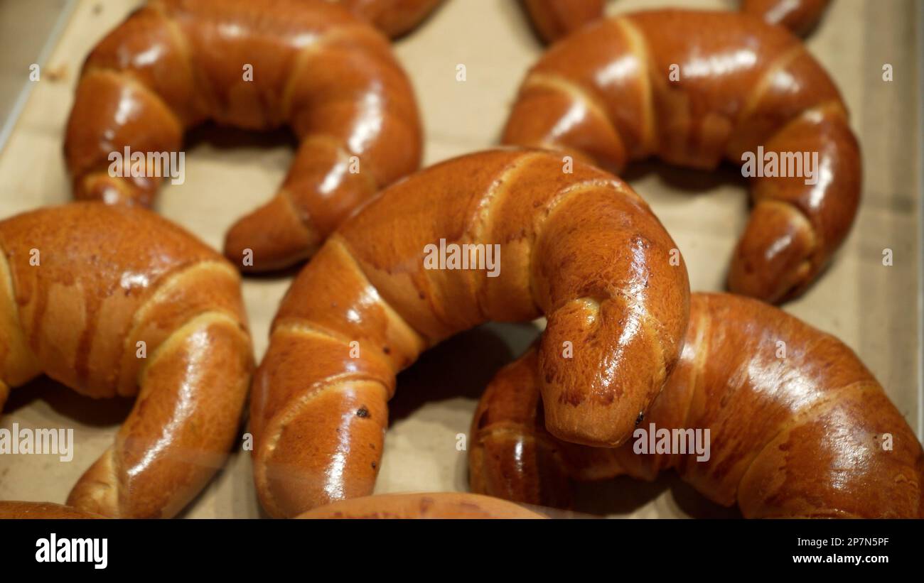 Rows of Warm Freshly Baked Bread Rolls on Display in Bakery Stand at ...